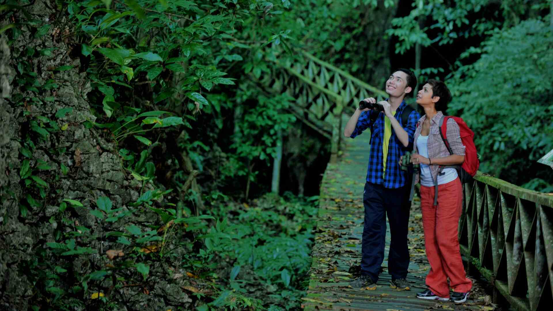 Birdwatching Paradise - Handy Tips | Tourism Malaysia Birdwatching Paradise - Handy Tips | Tourism Malaysia
